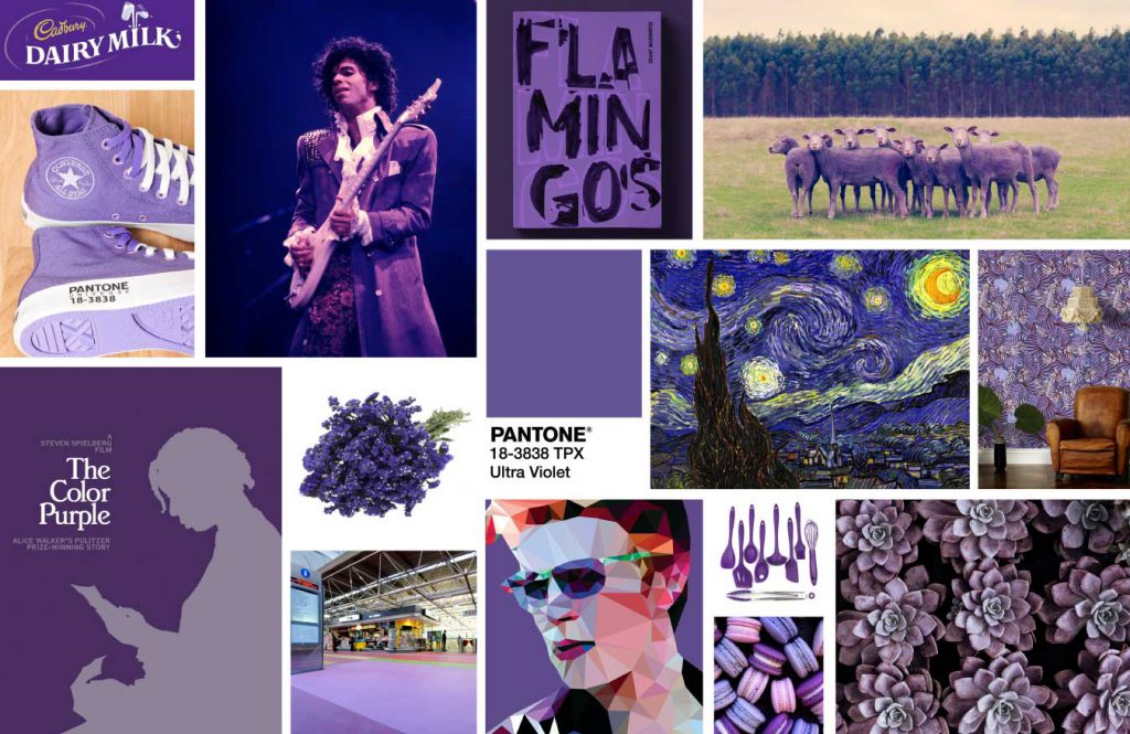 The Power Of Purple | All Things Flooring